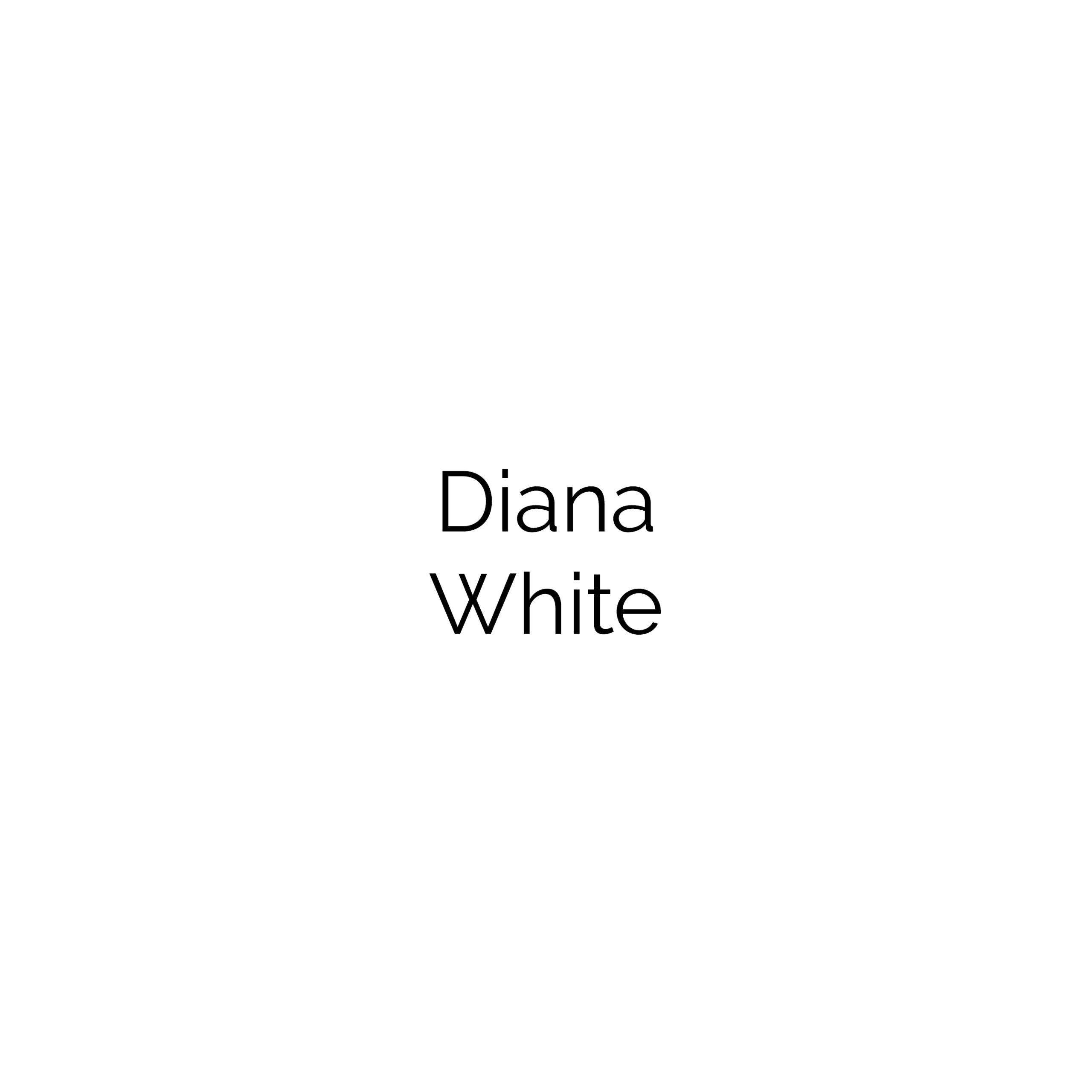 Diana White - Seattle Foundation